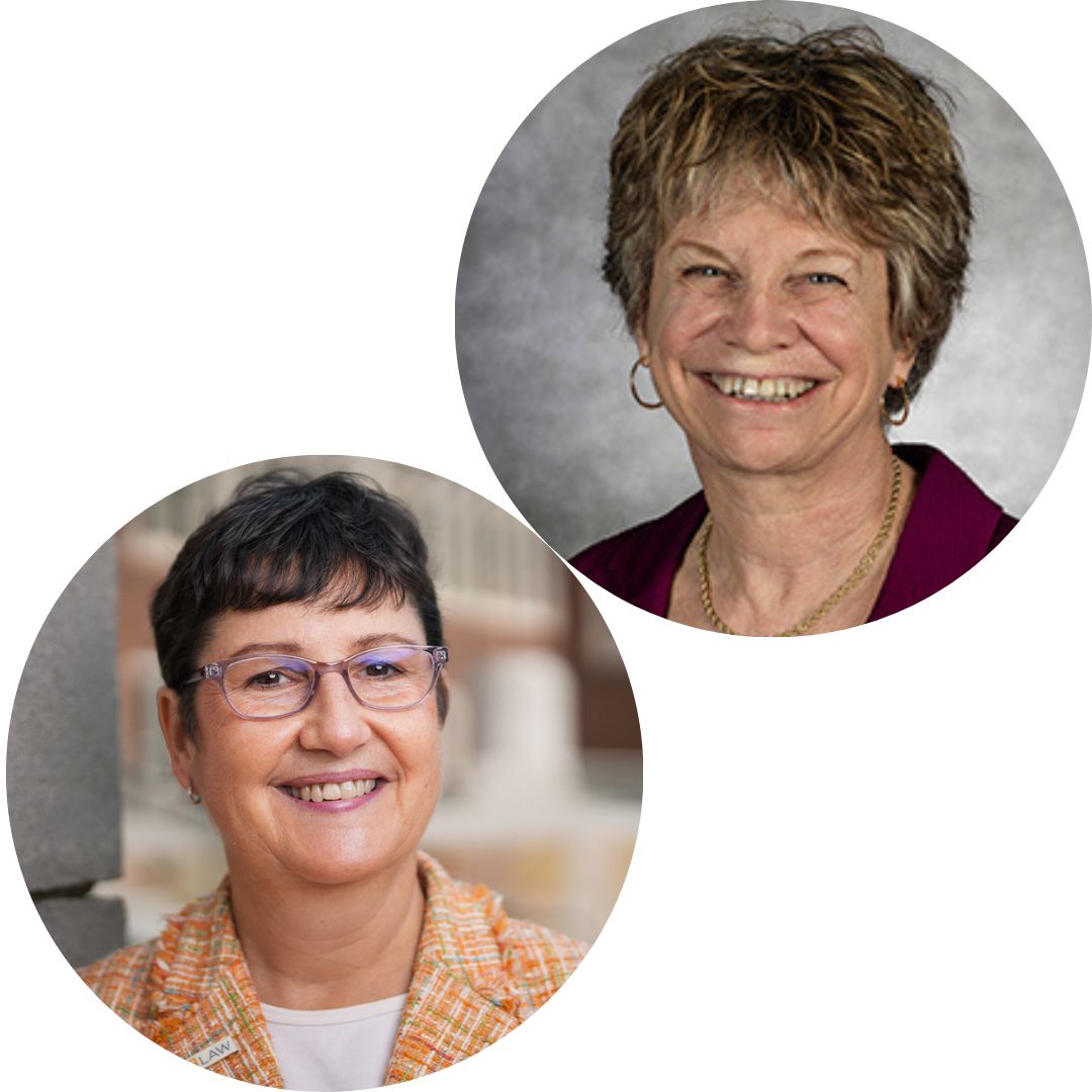Two Fellows Featured in DePaul Law Review Symposium - ABF